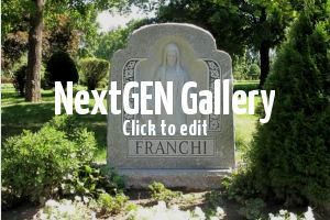 Chicago Granite Sculptures from ABC MonumentsABC Monuments